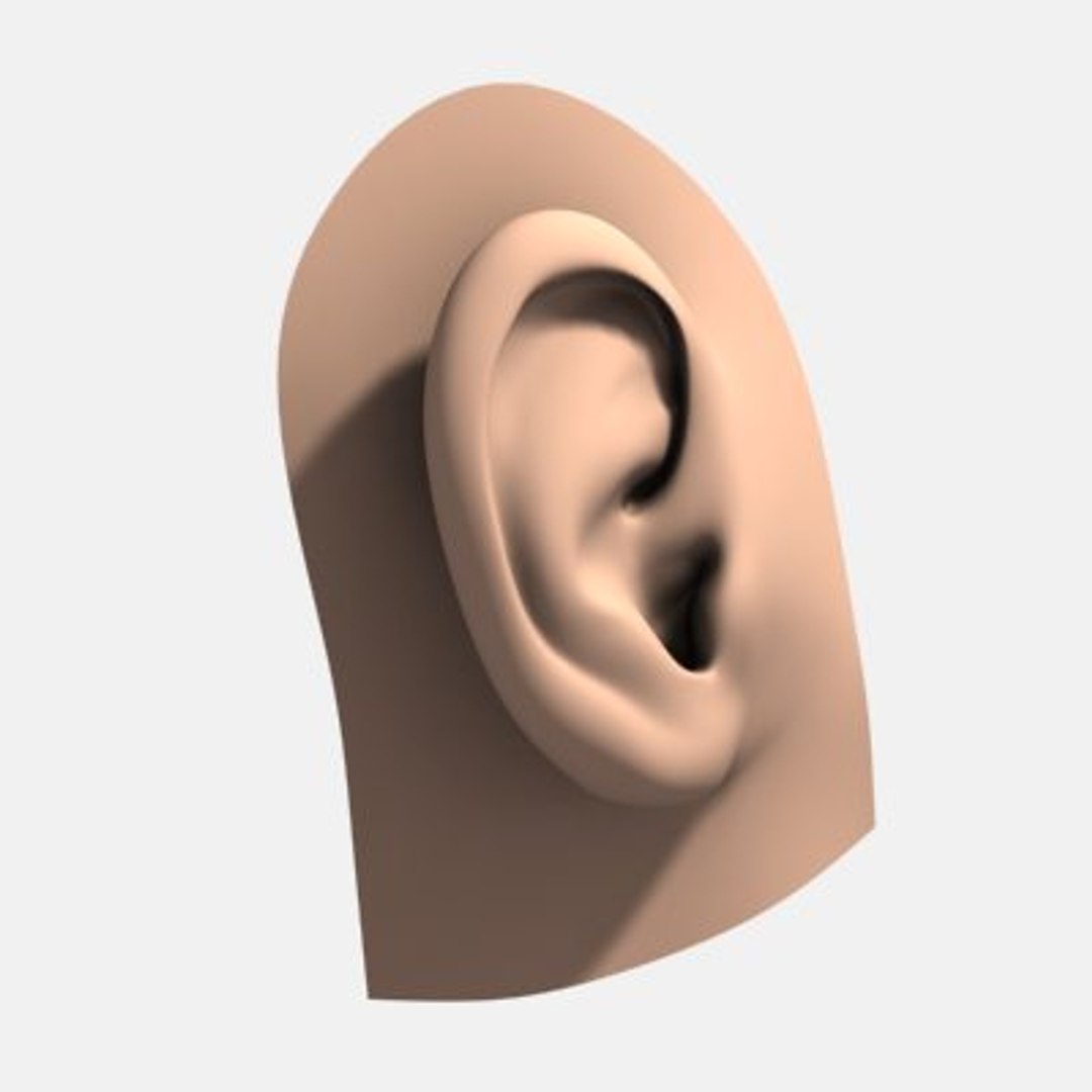 realistic human ear 3d model