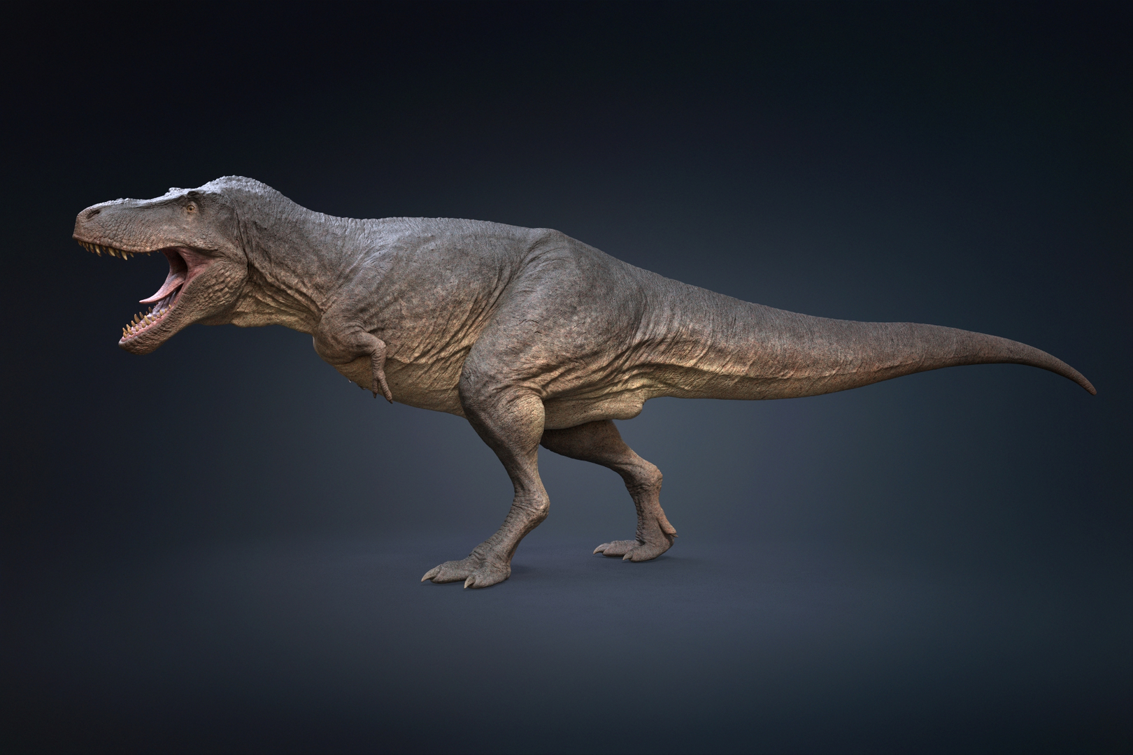 Tyrannosaurus Rex Rigged 3D - TurboSquid 1793355