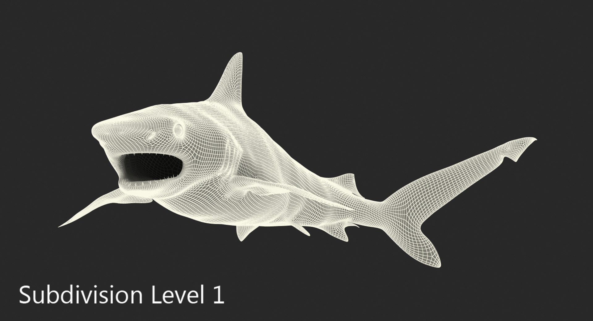 Spottail Shark Pose 2 Max