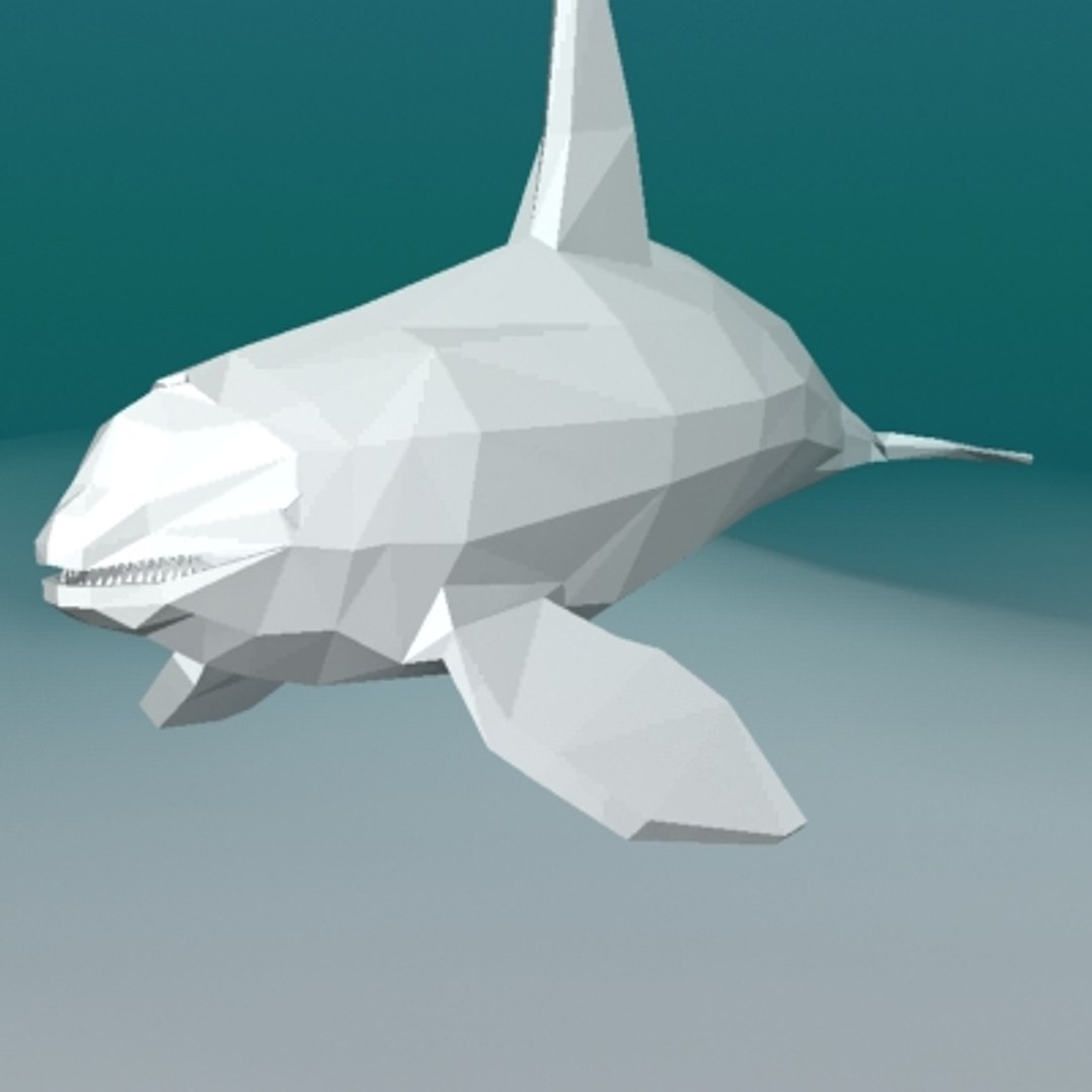 3d Realistic Orca Whale