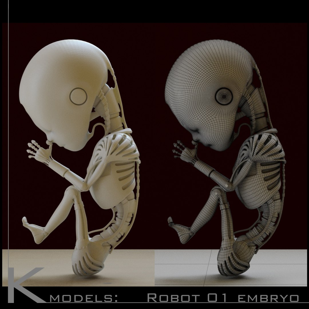 3d Robotic Embryo