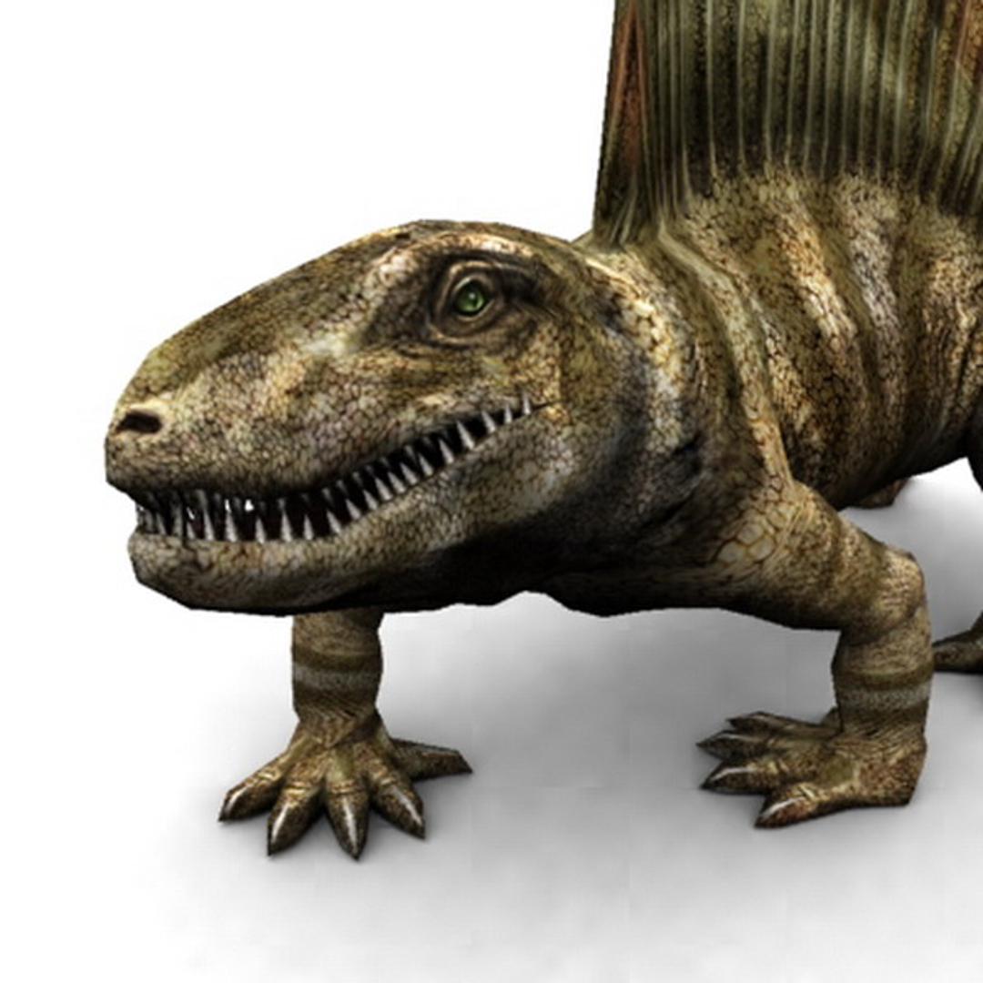 3d model dimetrodon animation