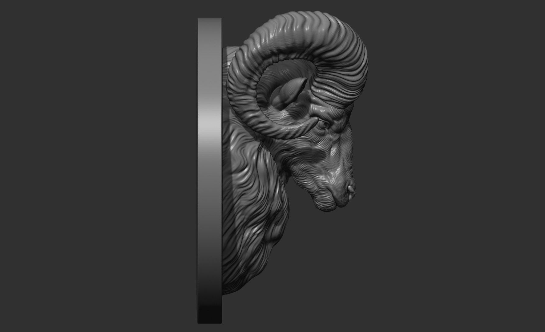 Big Horned Ram Head Model - TurboSquid 1878722