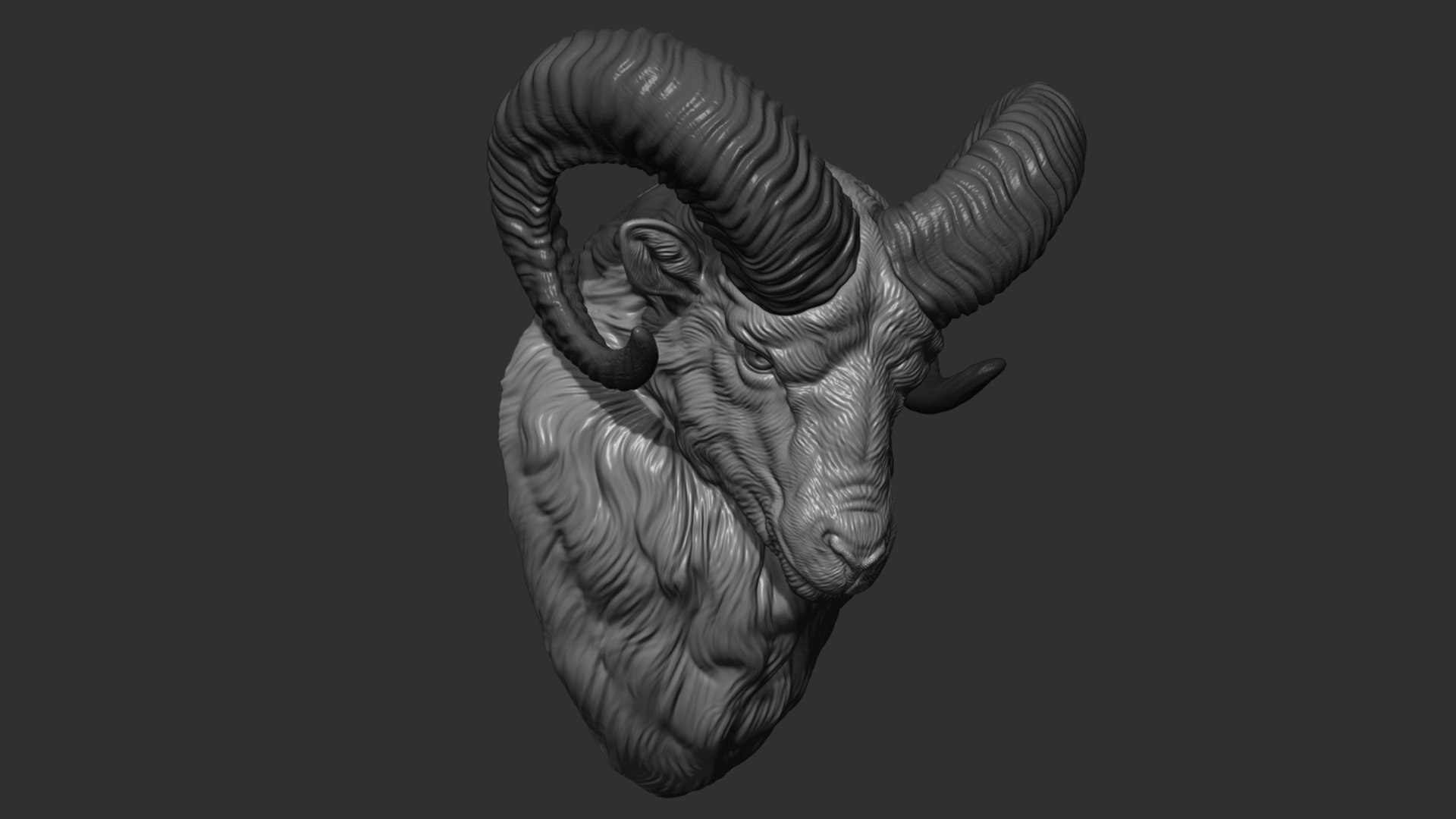 Big Horned Ram Head Model - TurboSquid 1878722