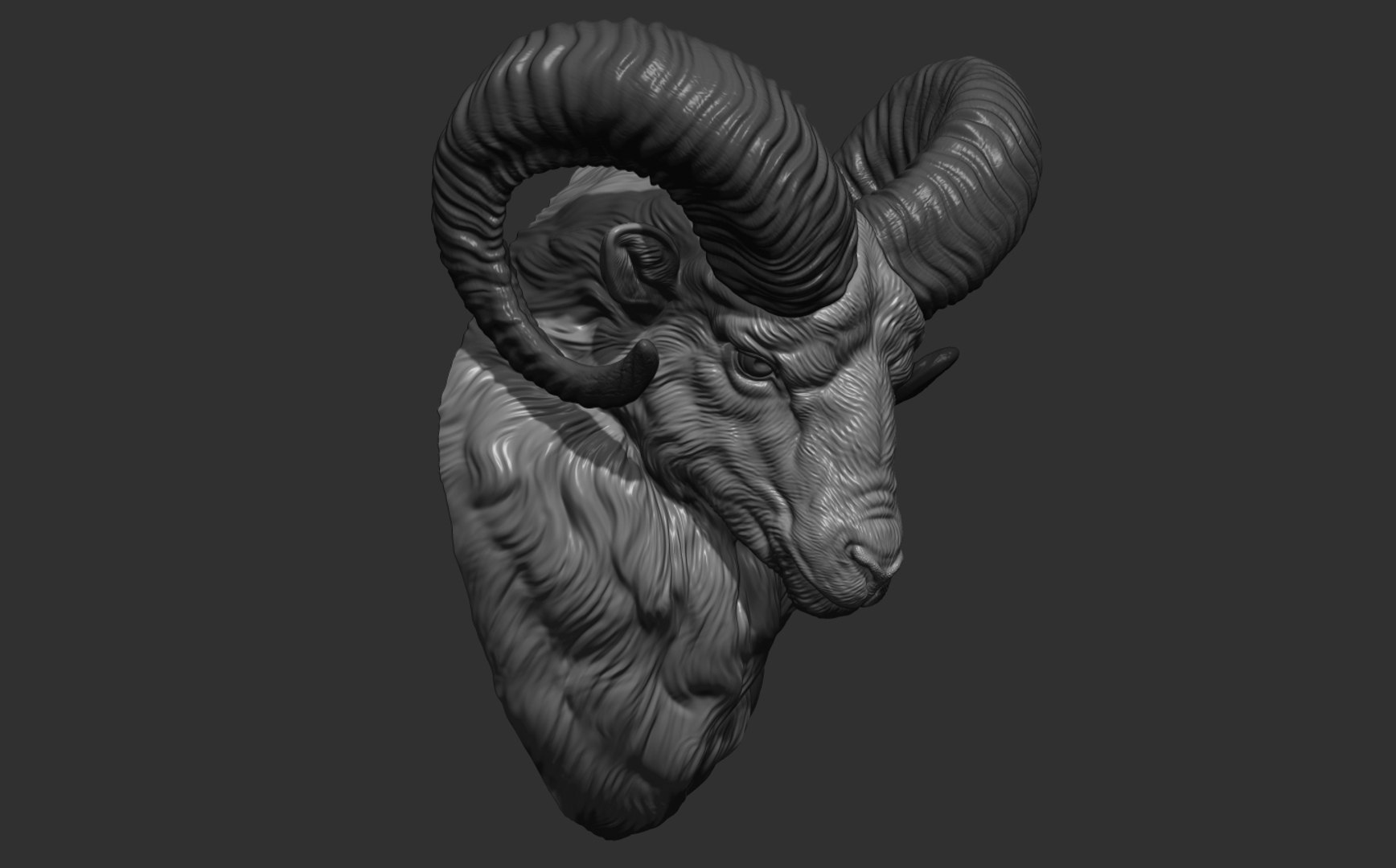 Big Horned Ram Head Model - TurboSquid 1878722