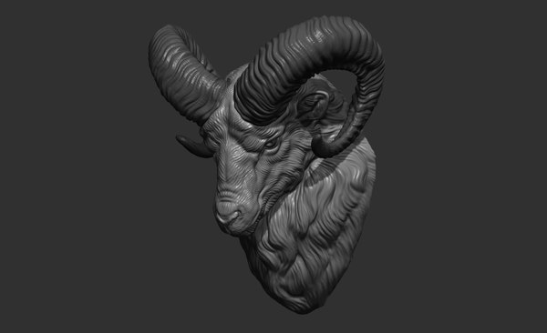 Big Horned Ram head model - TurboSquid 1878722
