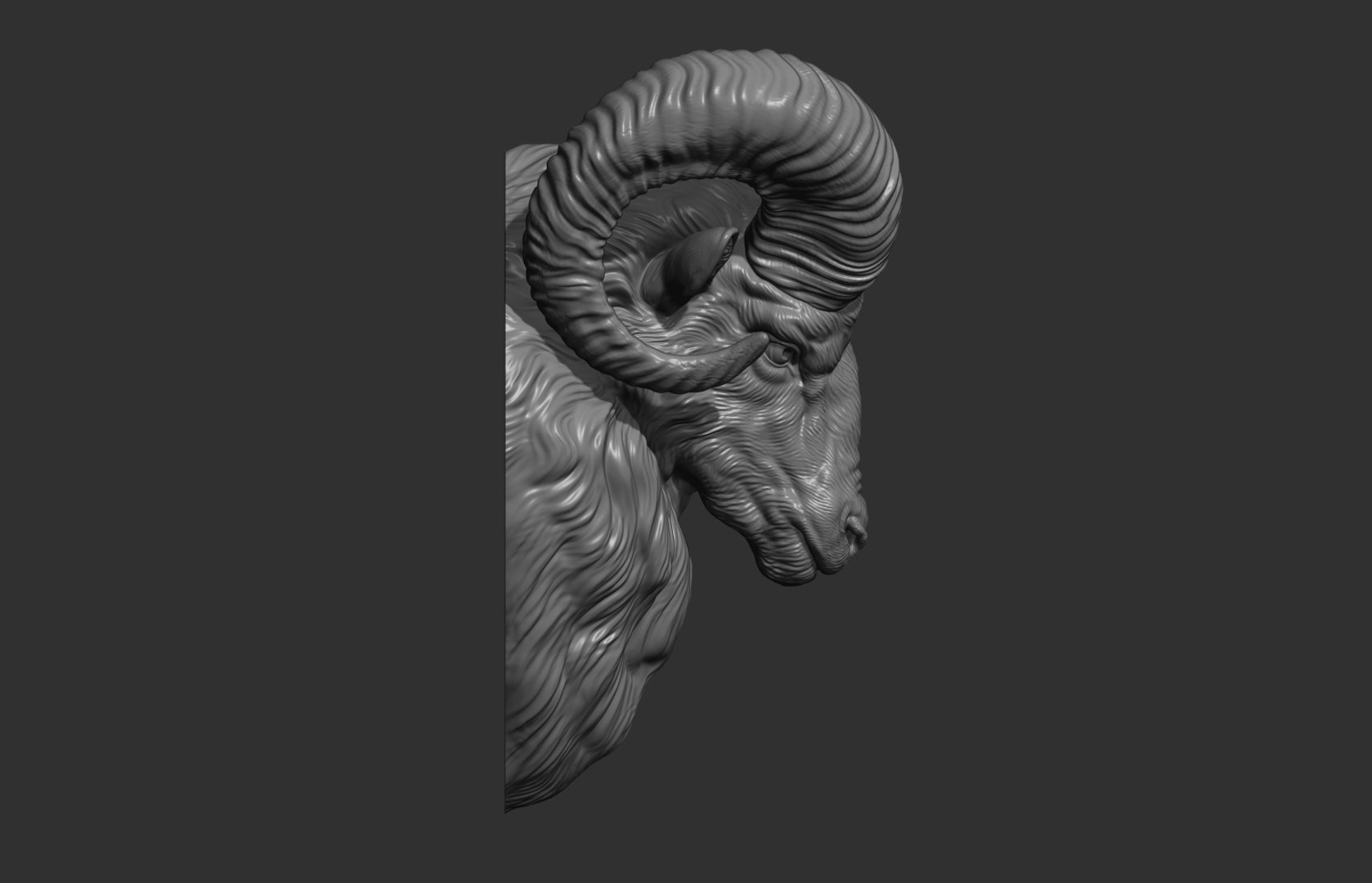 Big Horned Ram Head Model - TurboSquid 1878722