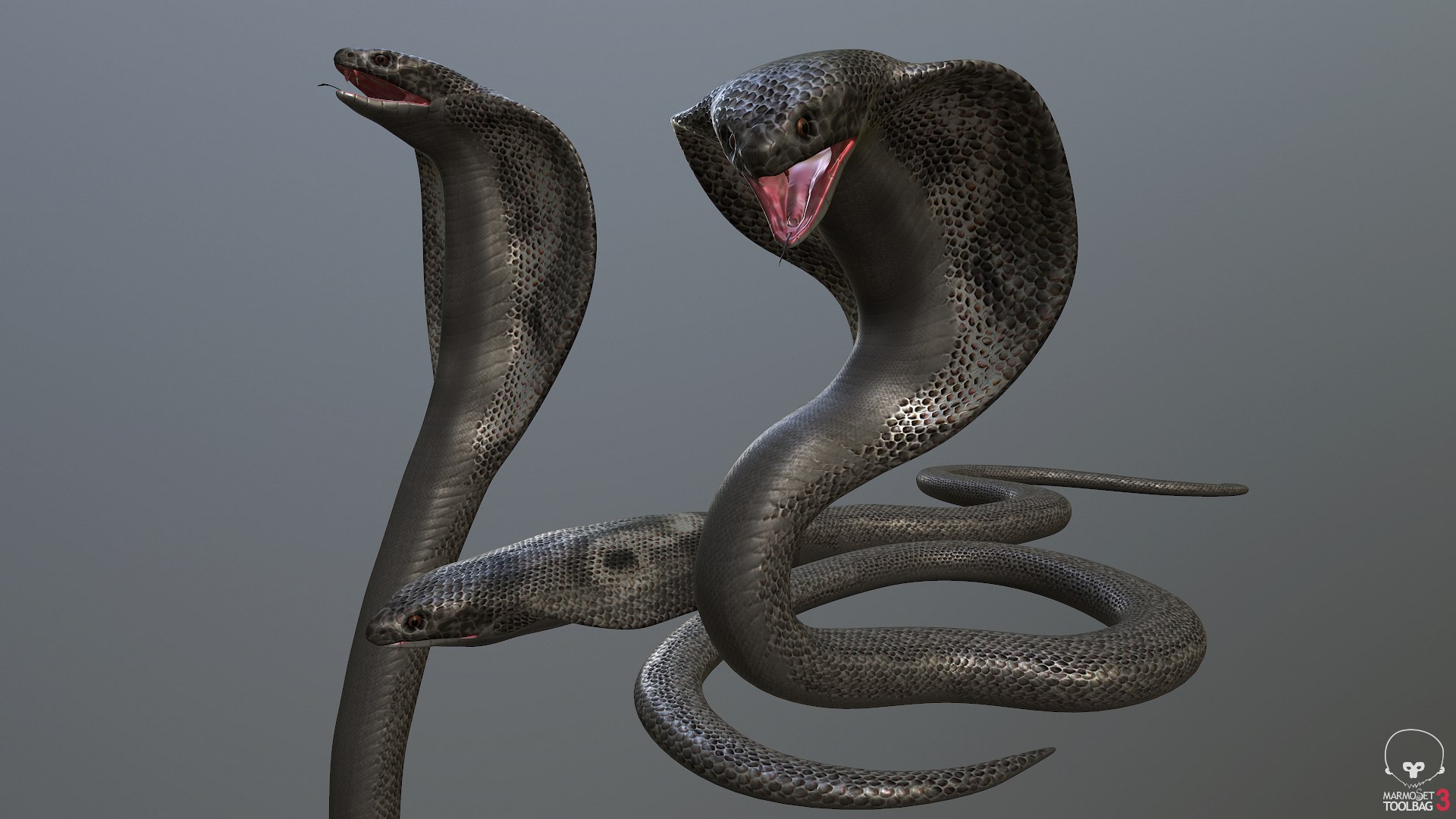 3d Hd King Cobra Snake Model