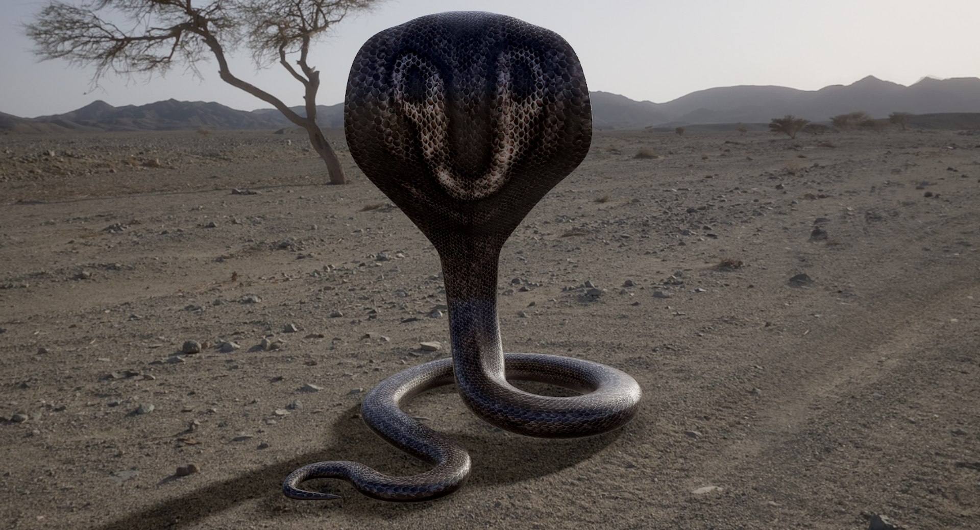 3d Hd King Cobra Snake Model