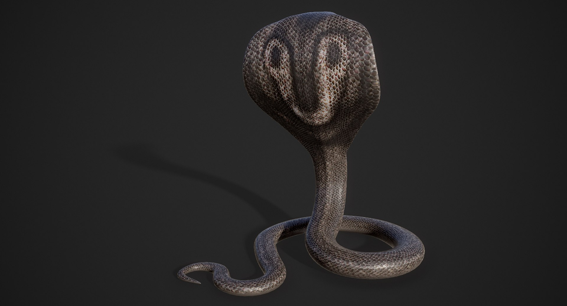 3d Hd King Cobra Snake Model
