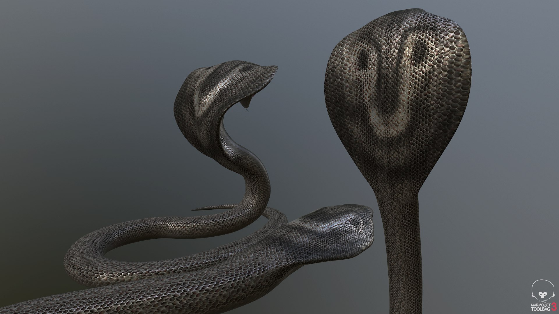3d hd king cobra snake model