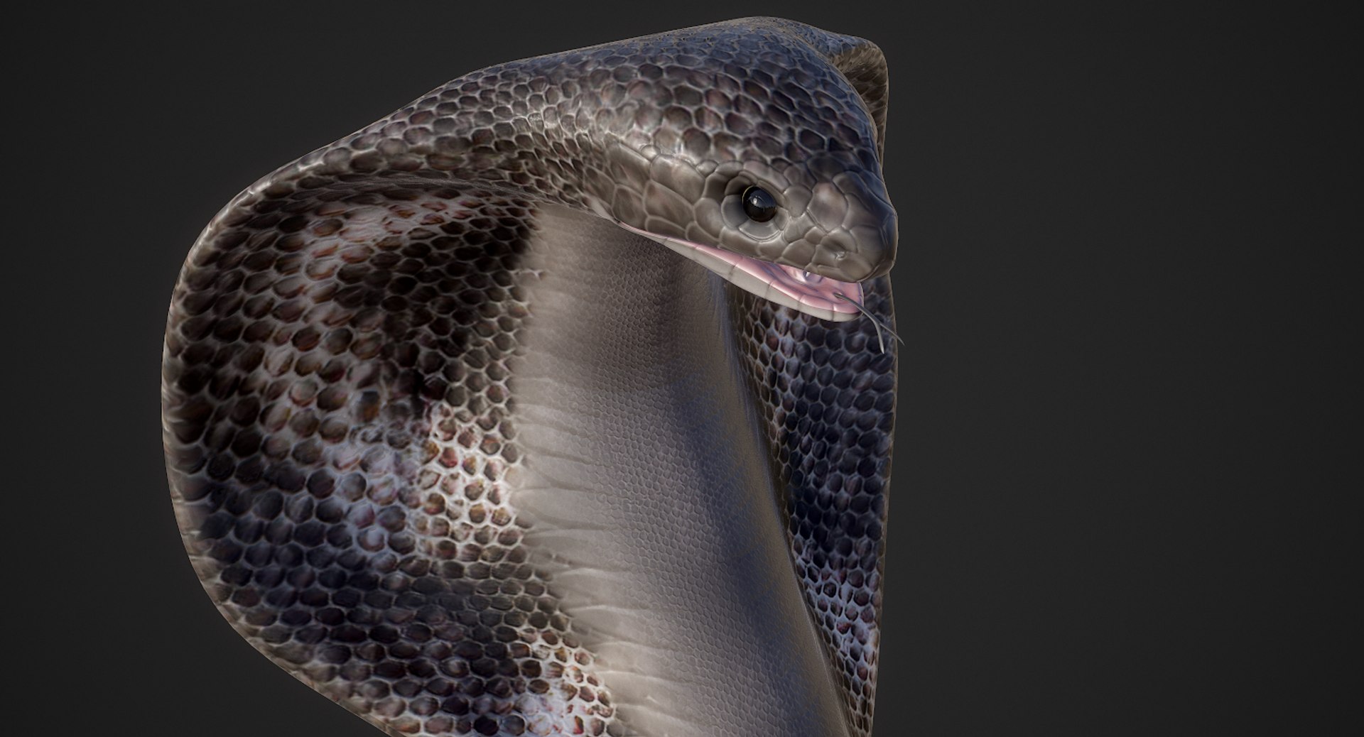 3d Hd King Cobra Snake Model