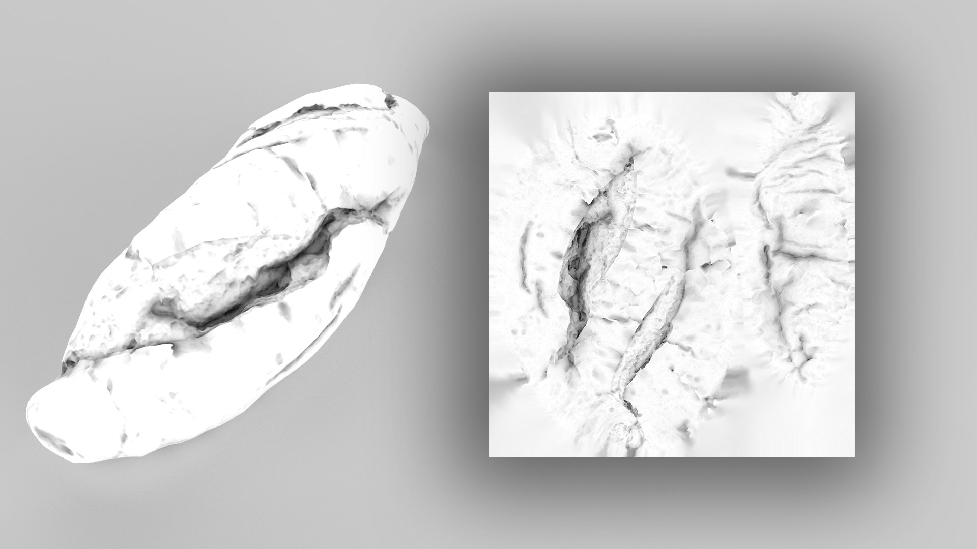 3D Stale Bread Scan - TurboSquid 2111473