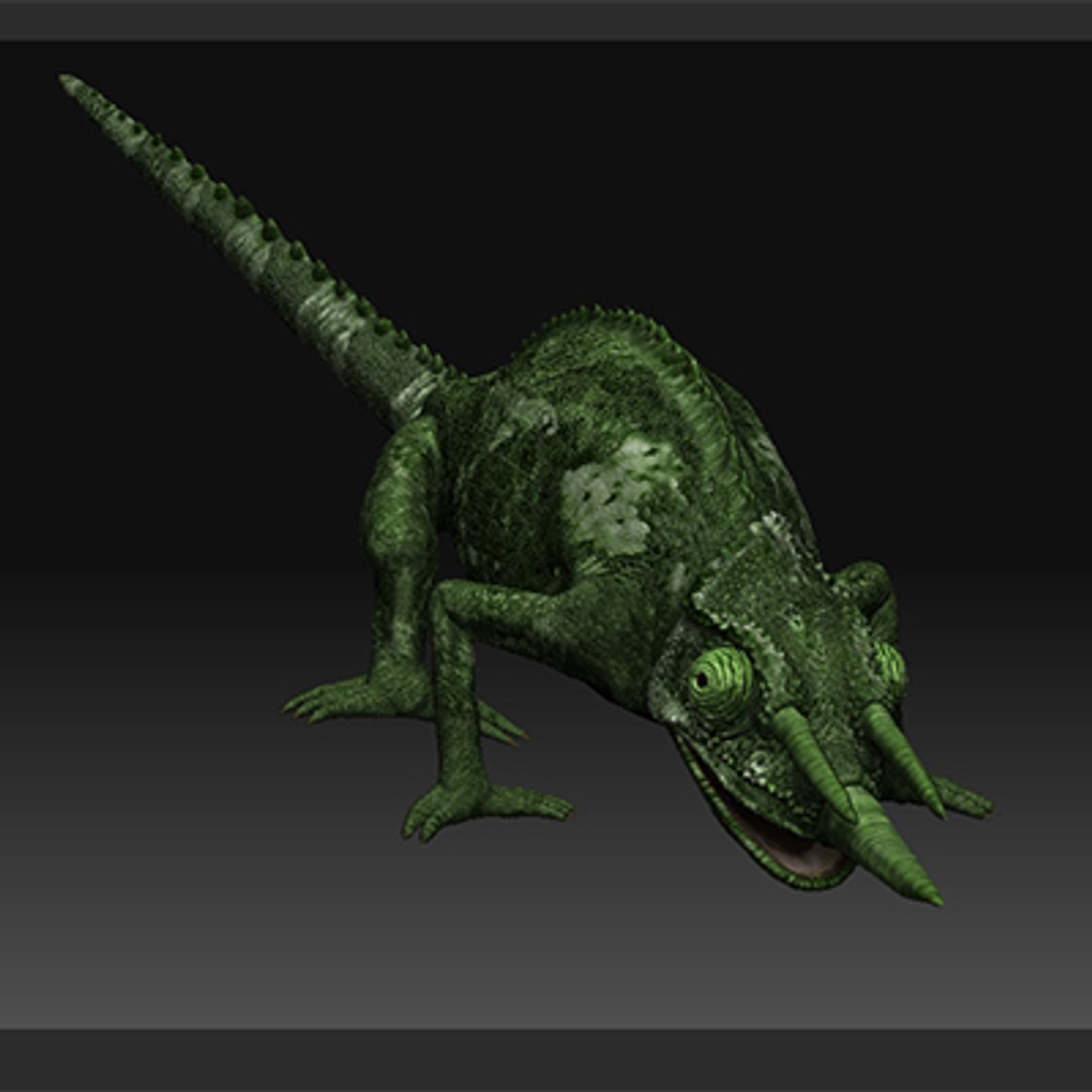 Chameleon Zbrush S 3d Model
