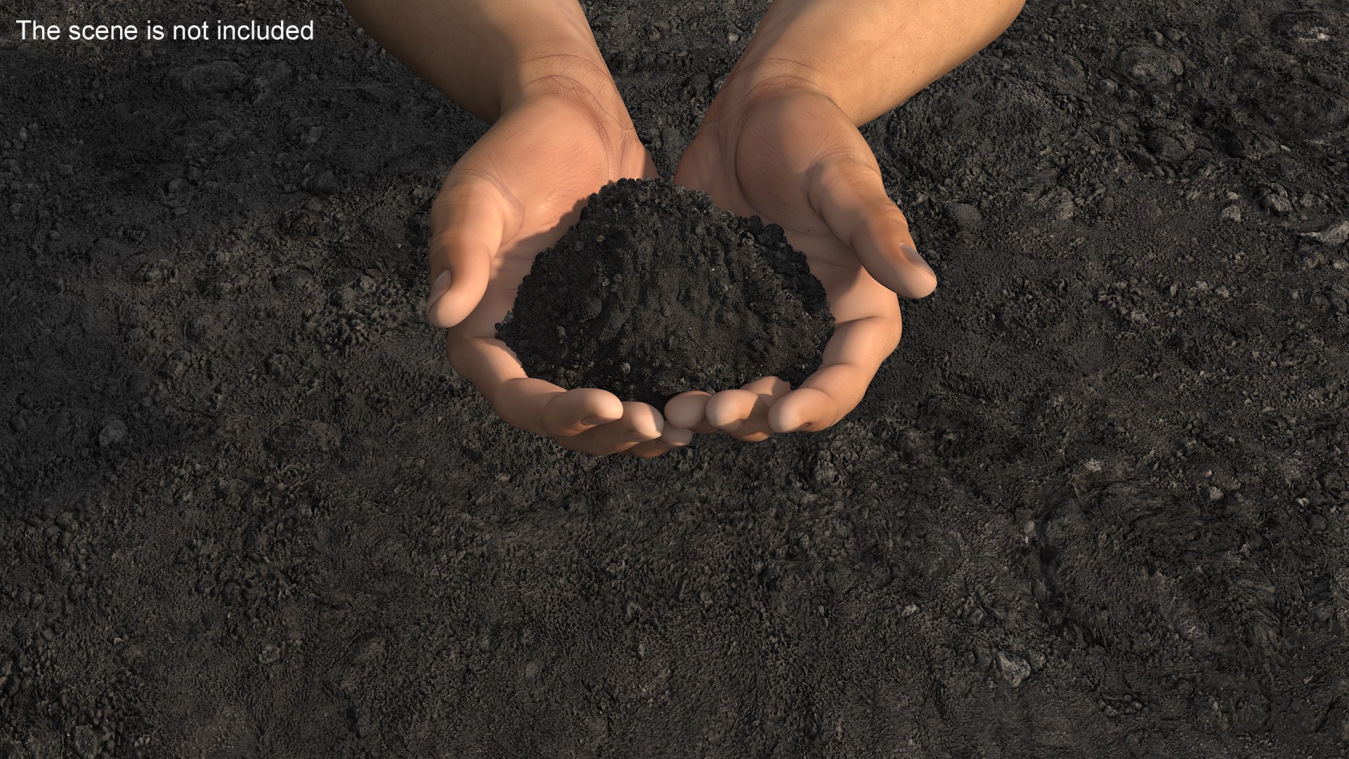 3D Realistic Fertile Soil Square - TurboSquid 2373266