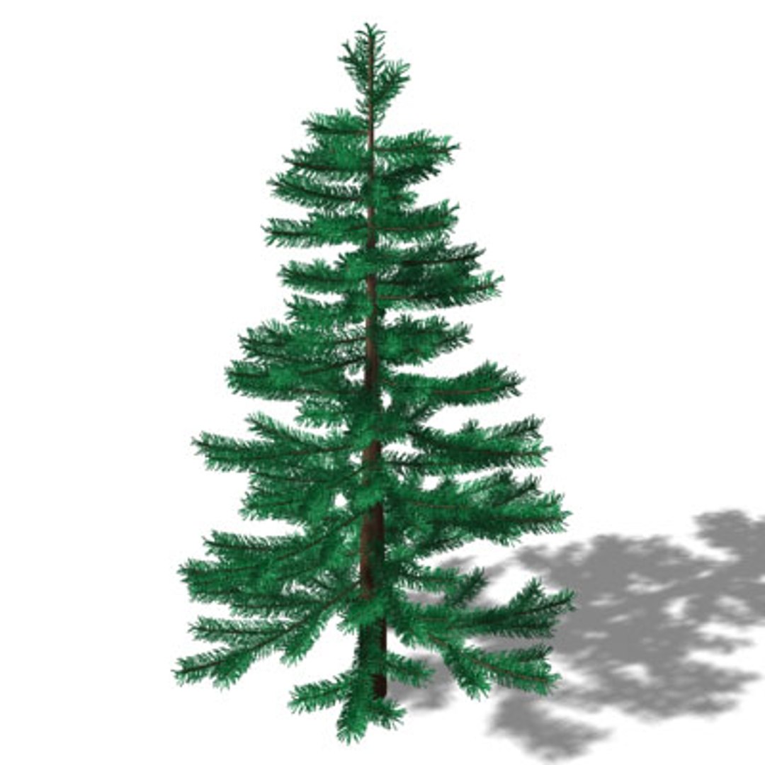 3ds evergreen tree