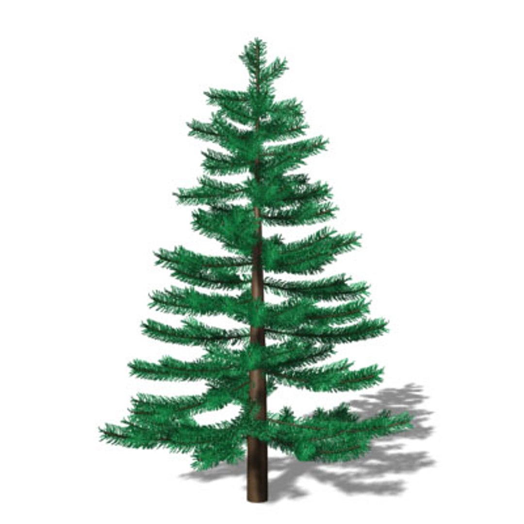 3ds evergreen tree