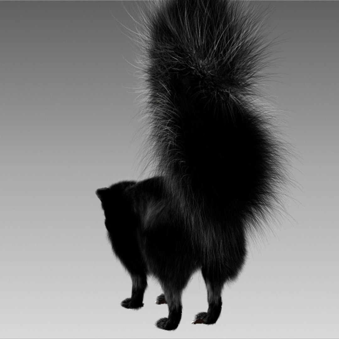 3dsmax White Stripes Skunk