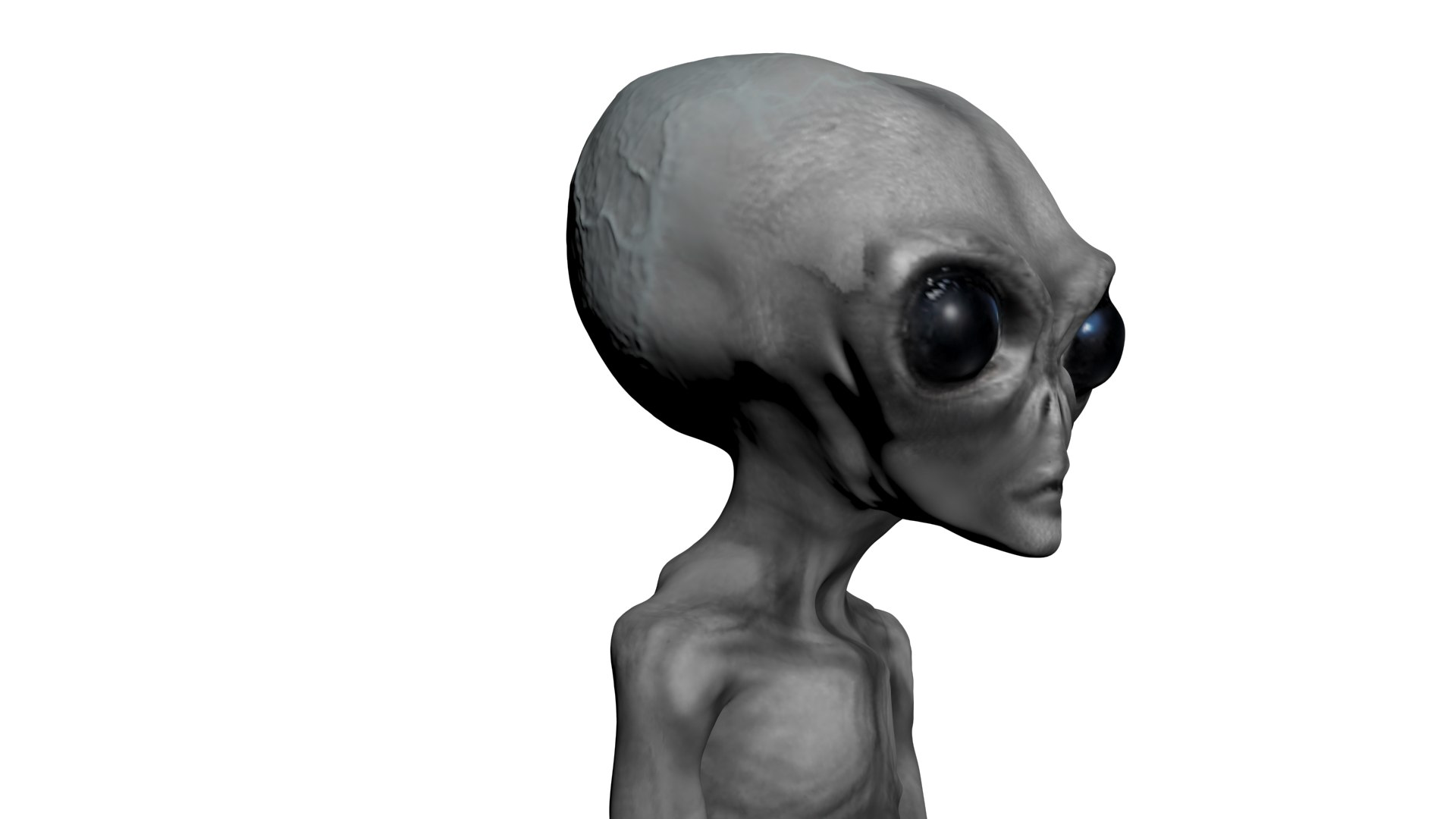 Grey Alien Remastered Area-51 3D Model - TurboSquid 1255670