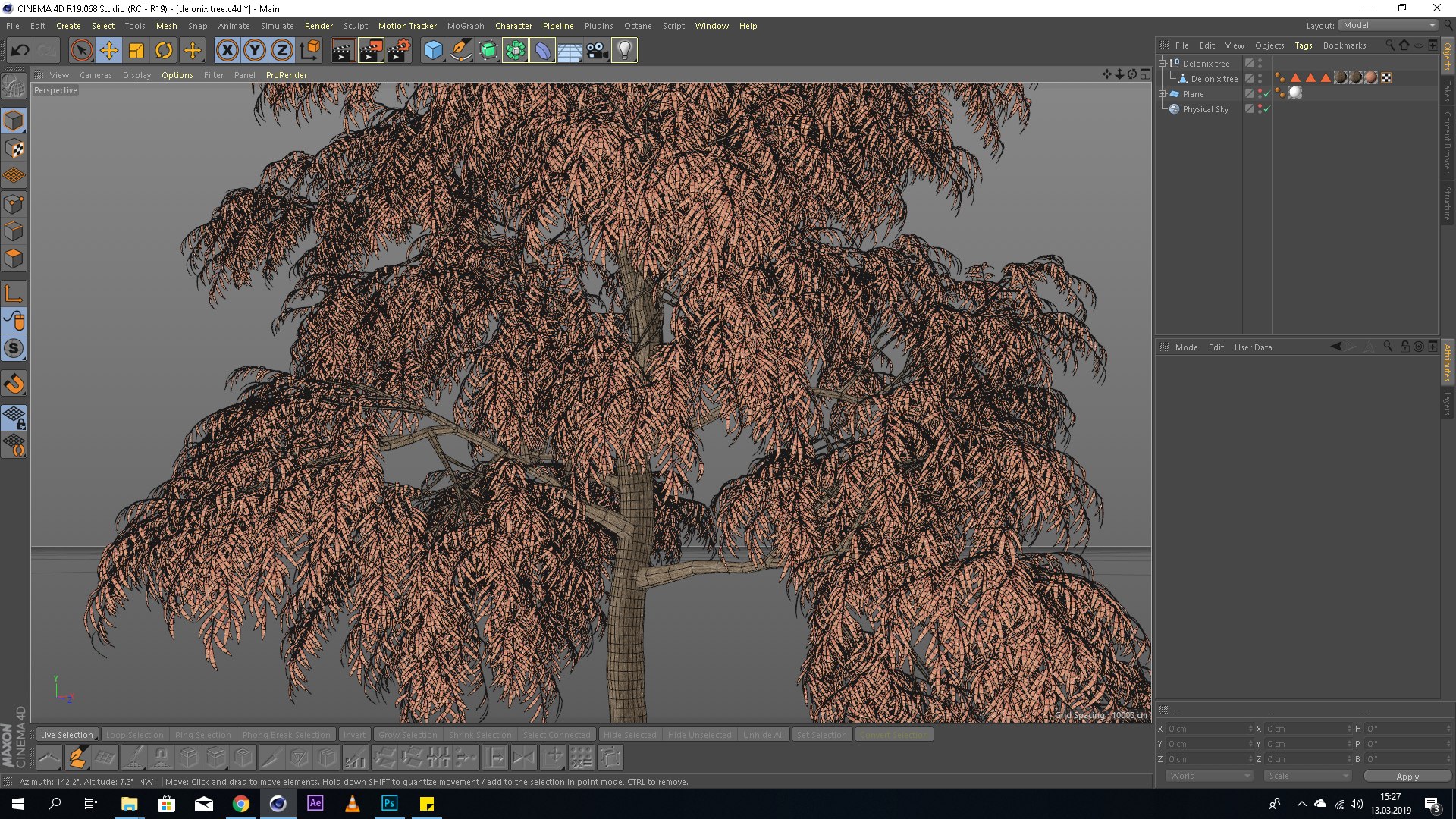 Delonix Tree 3D Model - TurboSquid 1386790