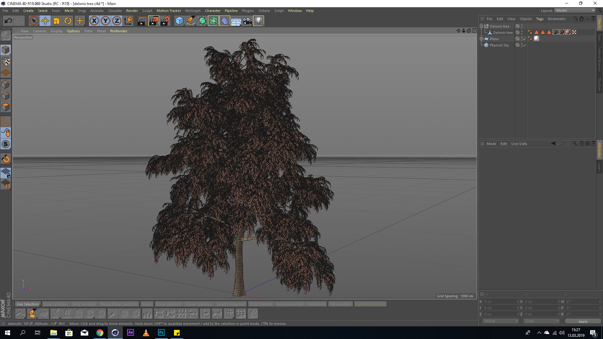 Delonix Tree 3D Model - TurboSquid 1386790