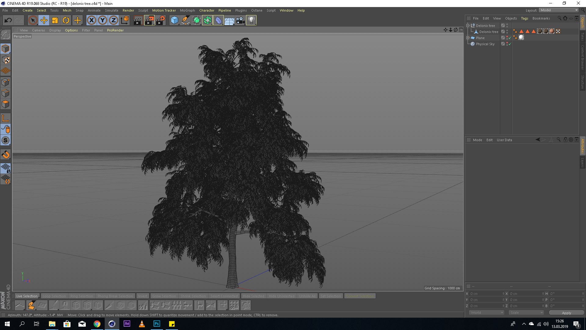 Delonix Tree 3D Model - TurboSquid 1386790