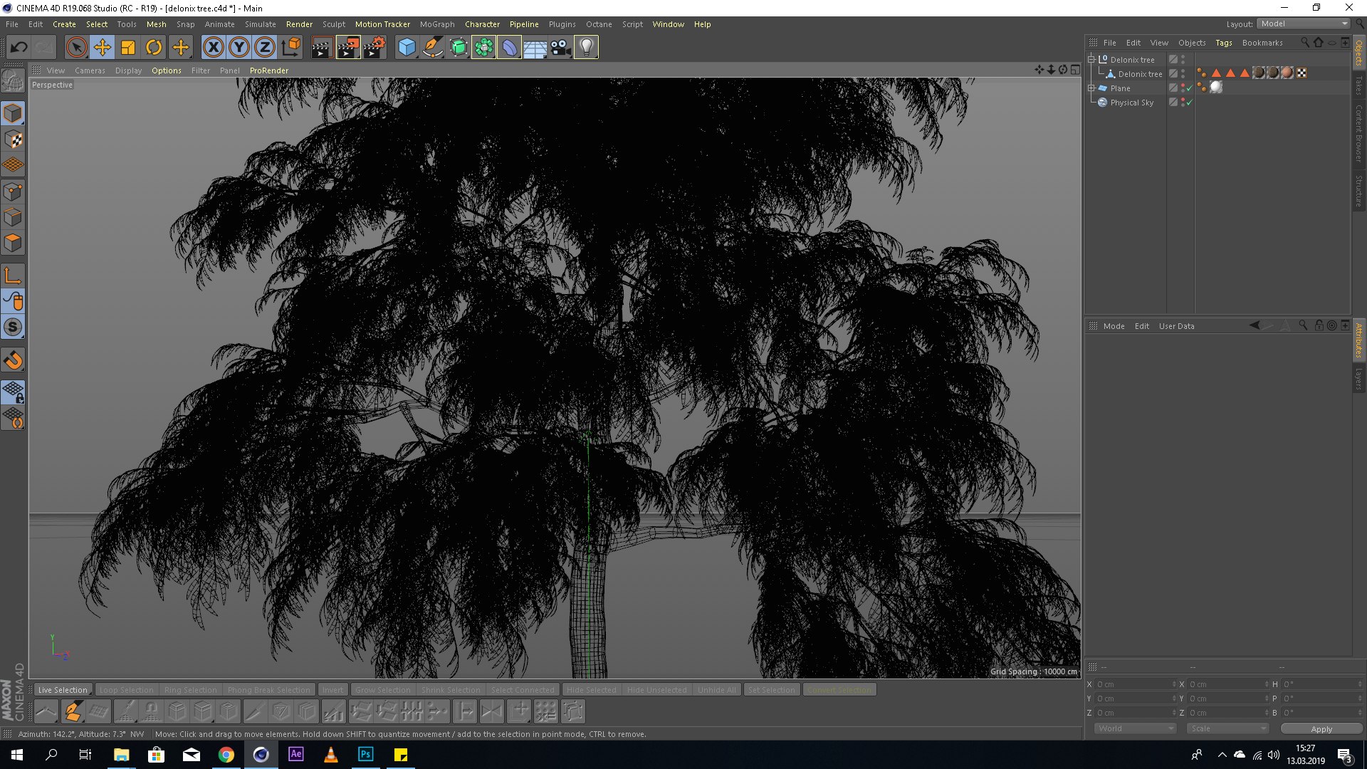 Delonix Tree 3D Model - TurboSquid 1386790