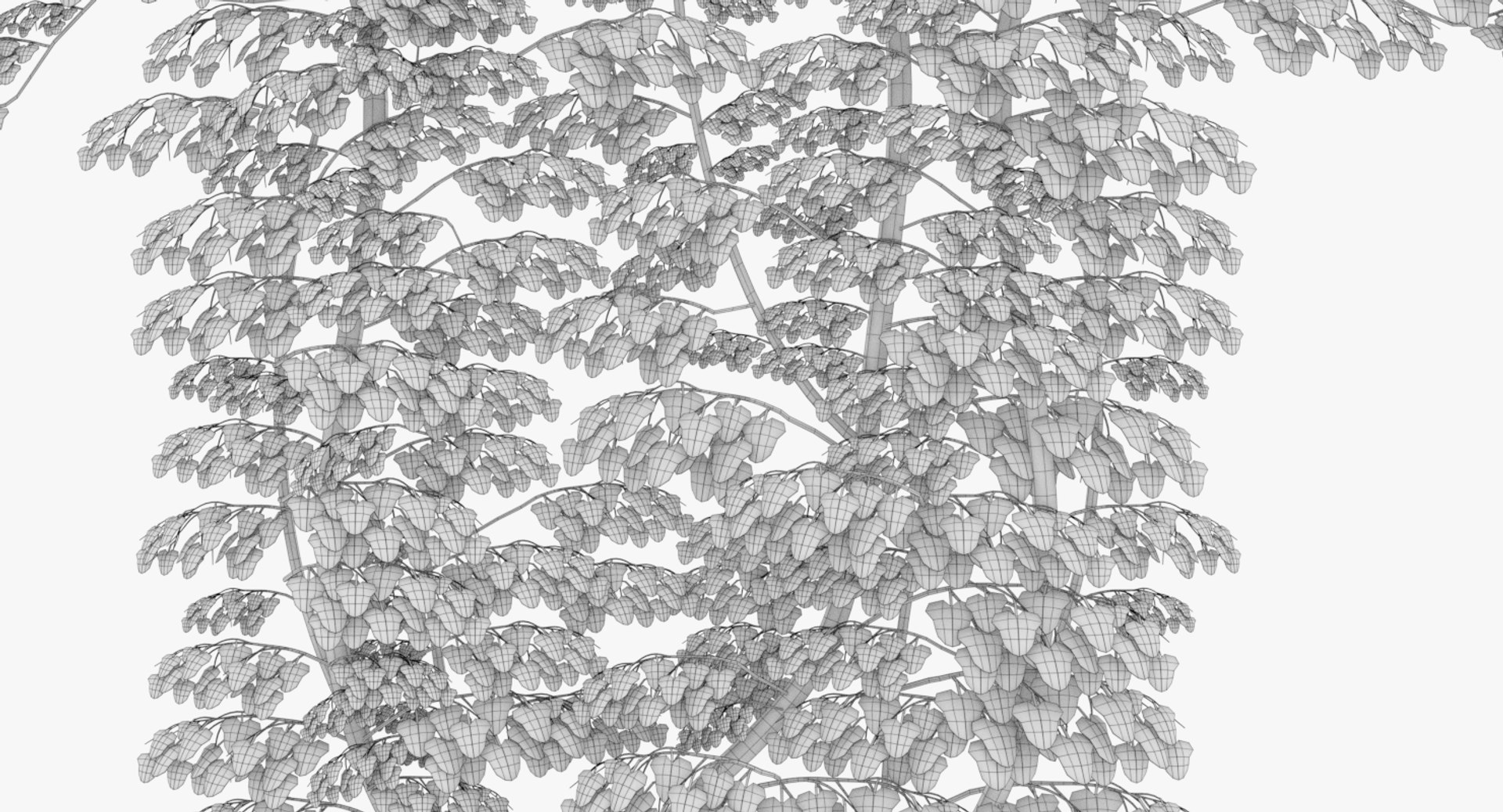 3D Model Ivy - TurboSquid 1292523