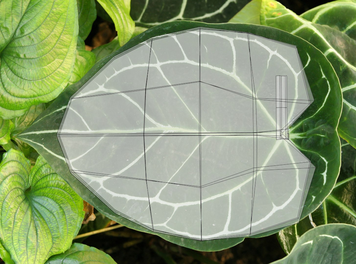 3D Model Ivy - TurboSquid 1292523