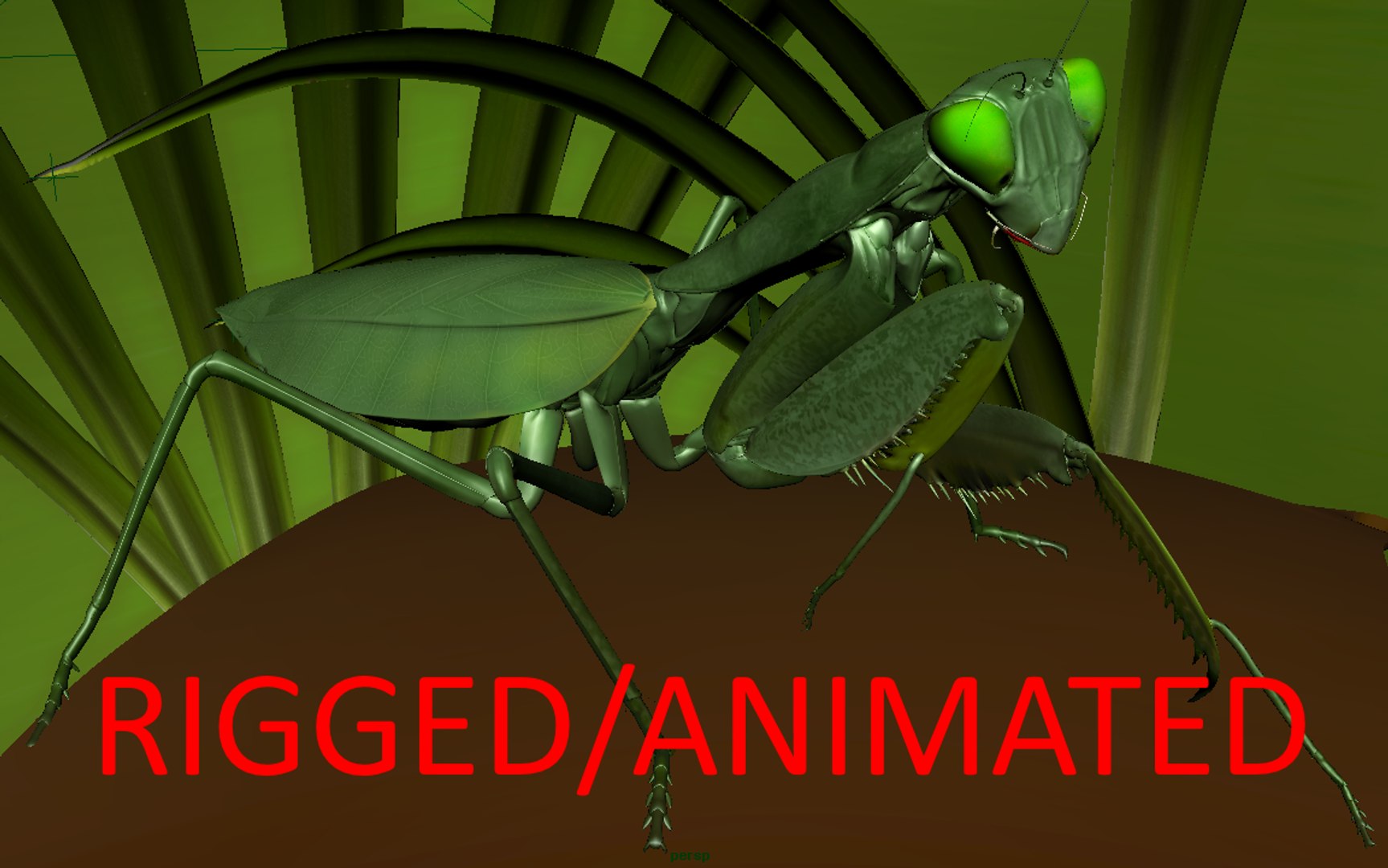 Mantis Rigged Animations 3d Ma