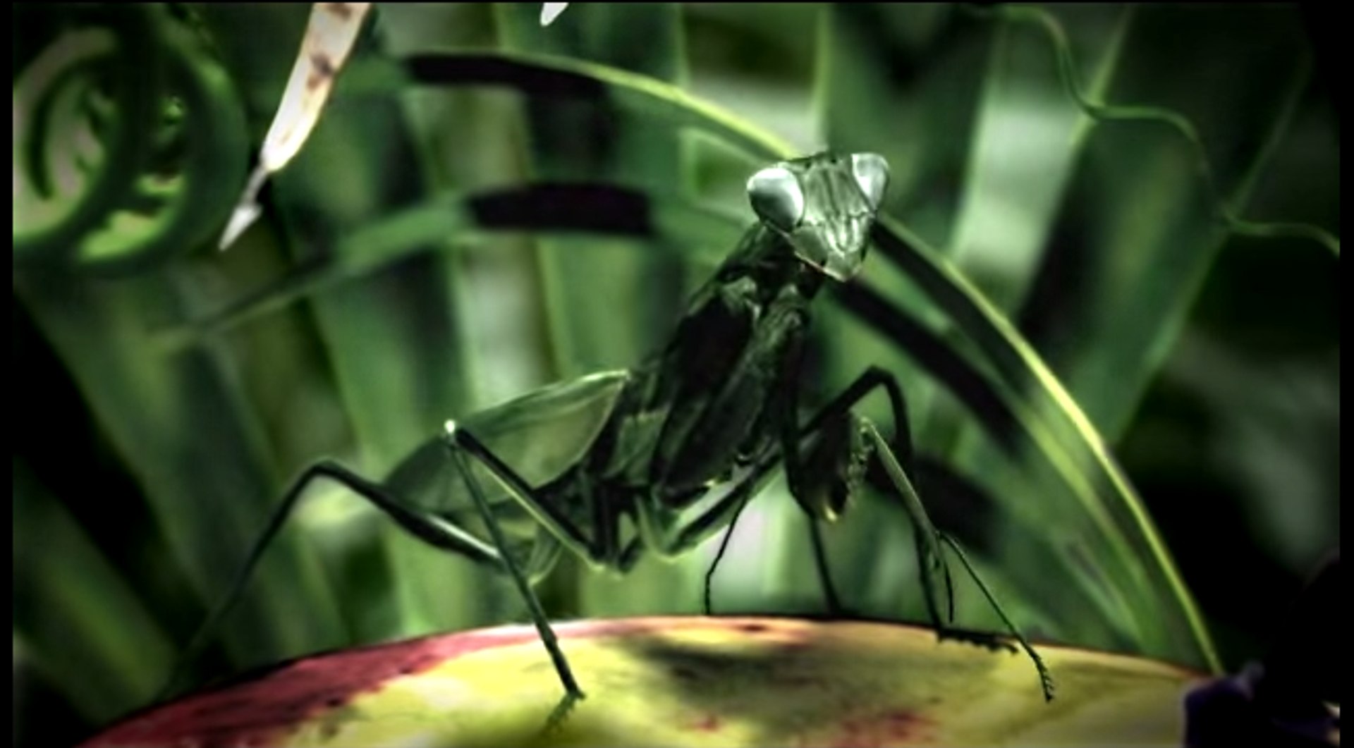 Mantis Rigged Animations 3d Ma