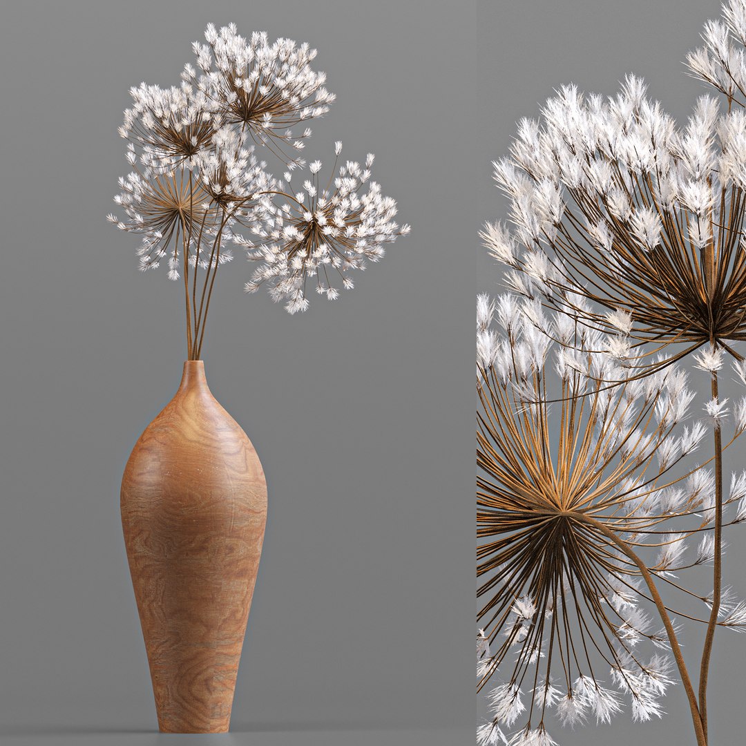 3D Dry Flower Set01 Model - TurboSquid 2028035