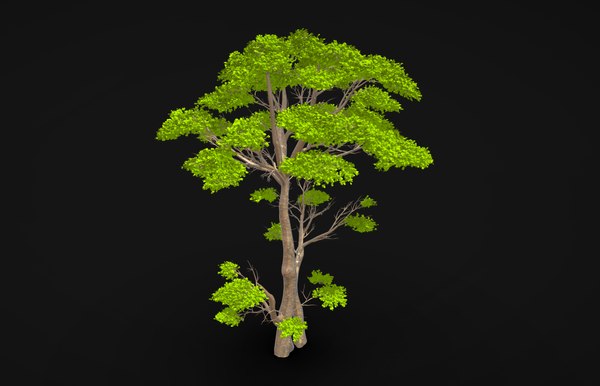 3D green tree - TurboSquid 1897101