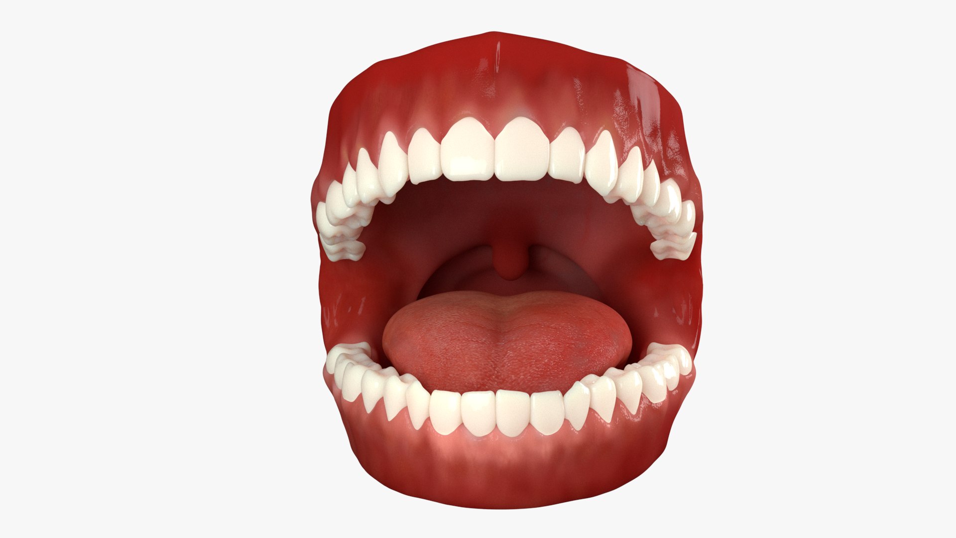 3D Mouth Animated V2 Vray - TurboSquid 1830751