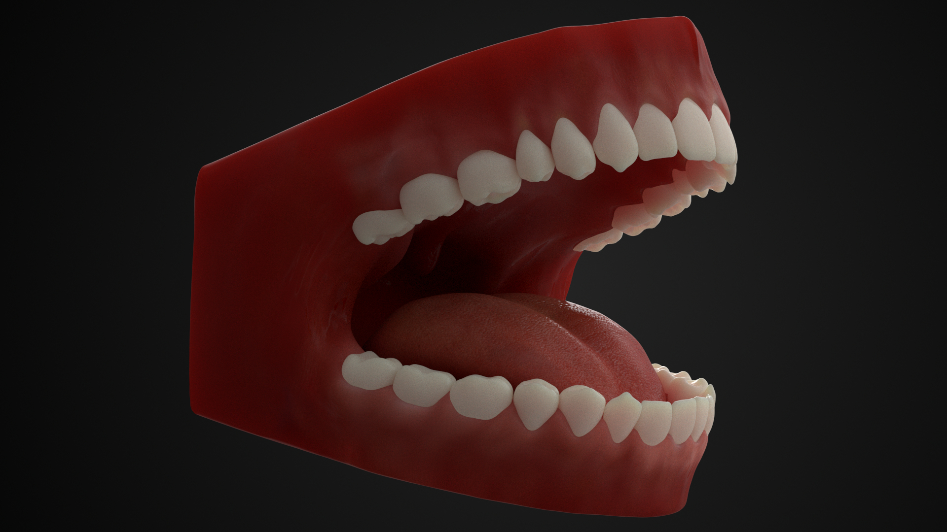 Mouth Animated v2 Vray Modelo 3D - TurboSquid 1830751
