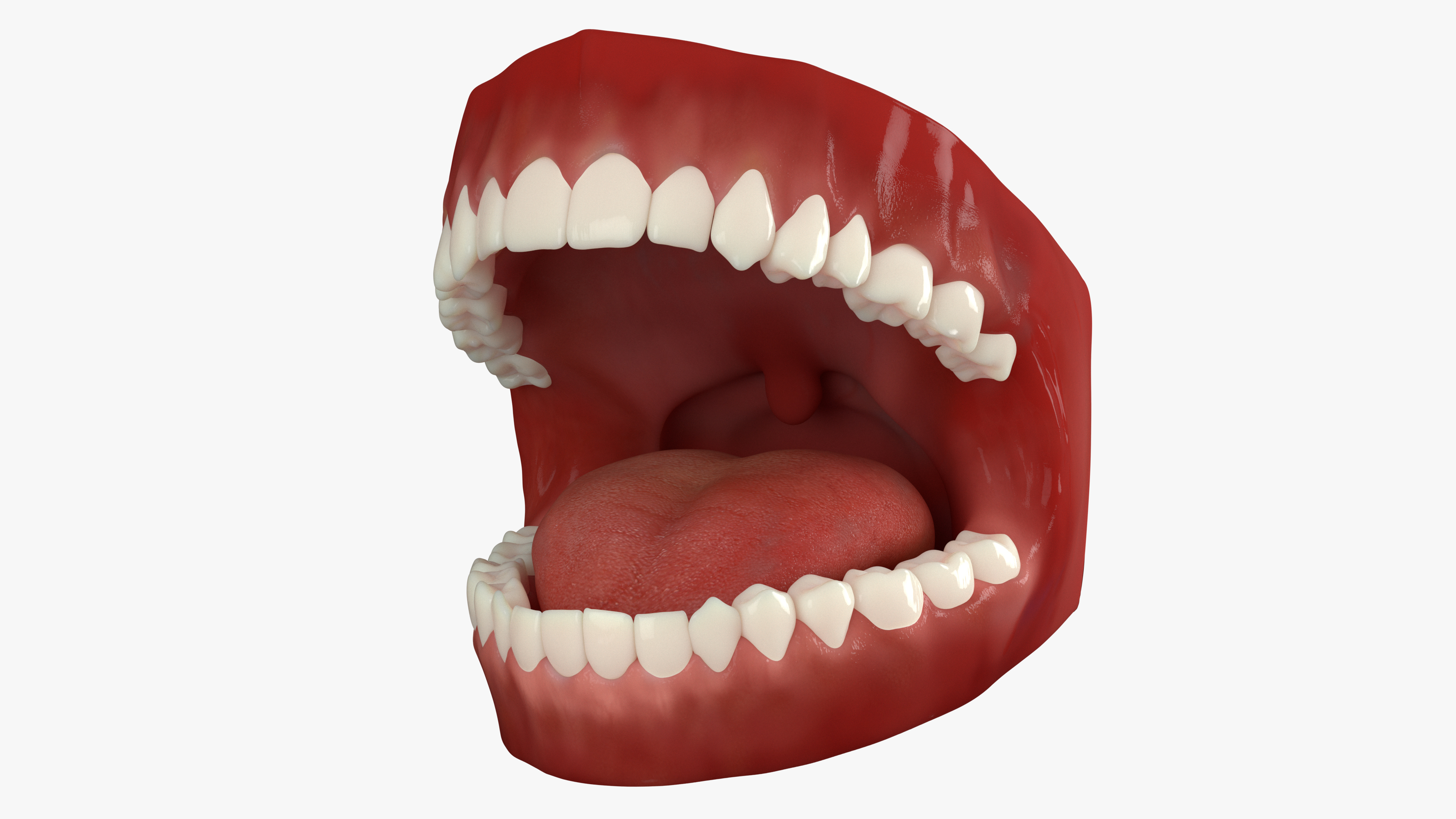 modelo 3d Boca animada v2 Vray - TurboSquid 1830751