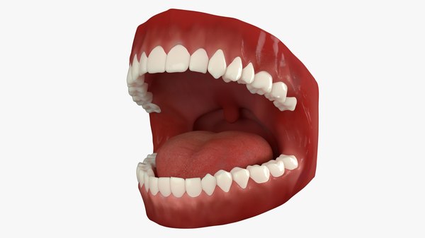 3D Mouth Animated v2 Vray - TurboSquid 1830751