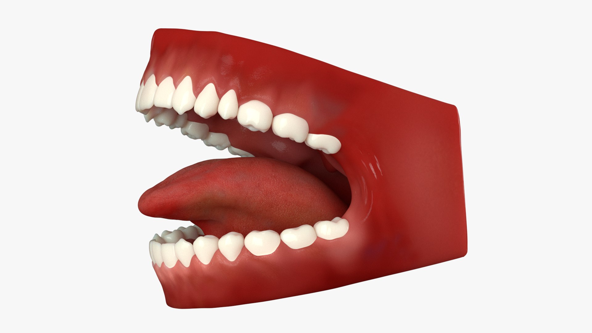 3D Mouth Animated V2 Vray - TurboSquid 1830751