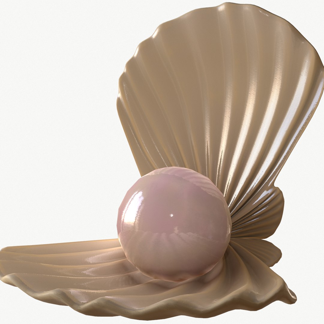 Pearl Shell 3D - TurboSquid 1413852