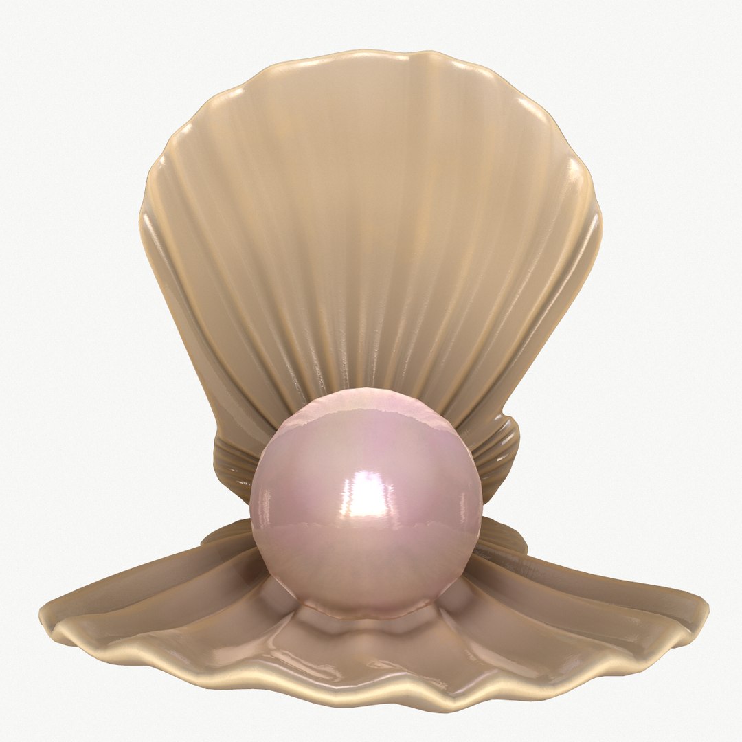 Pearl Shell 3D - TurboSquid 1413852