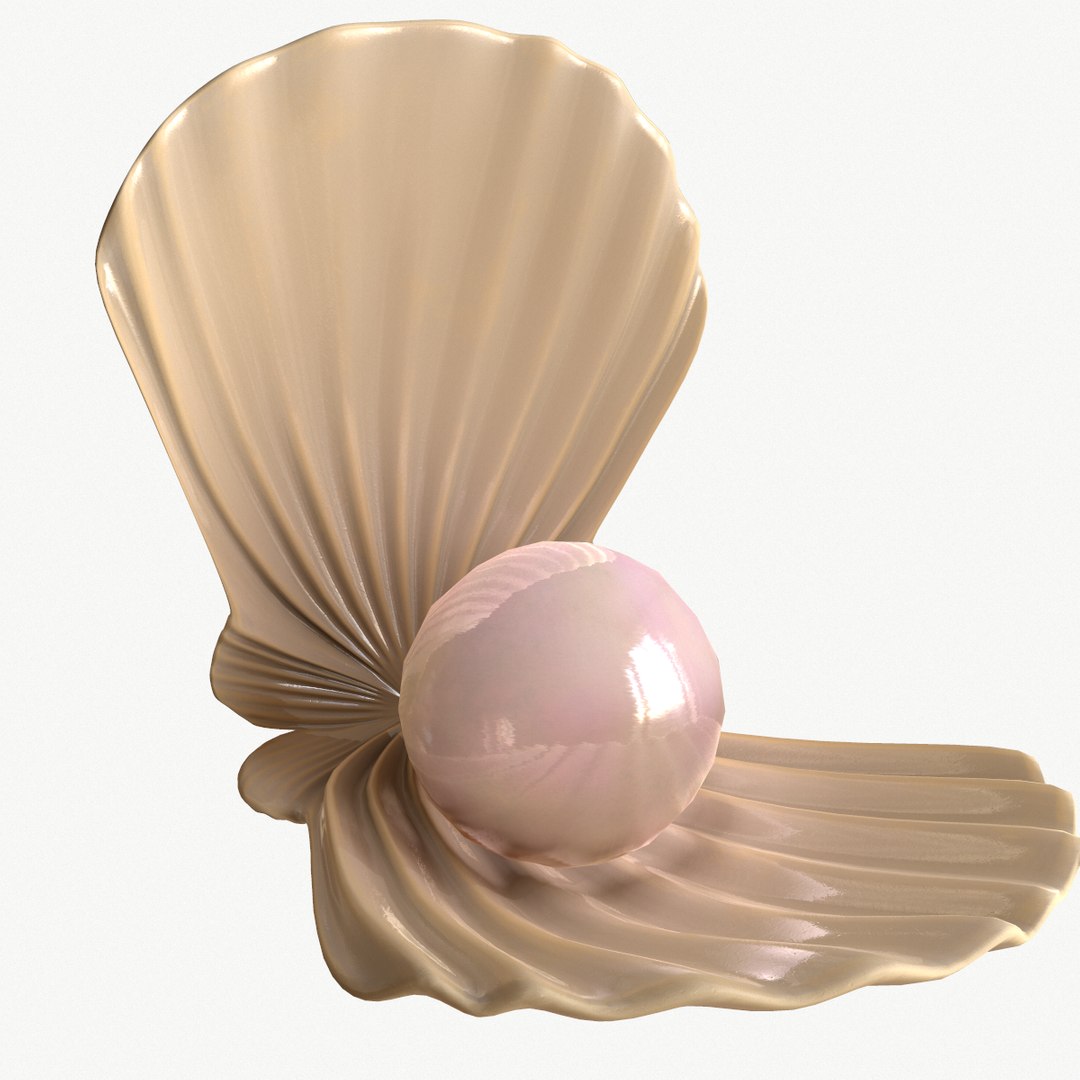 Pearl Shell 3D - TurboSquid 1413852
