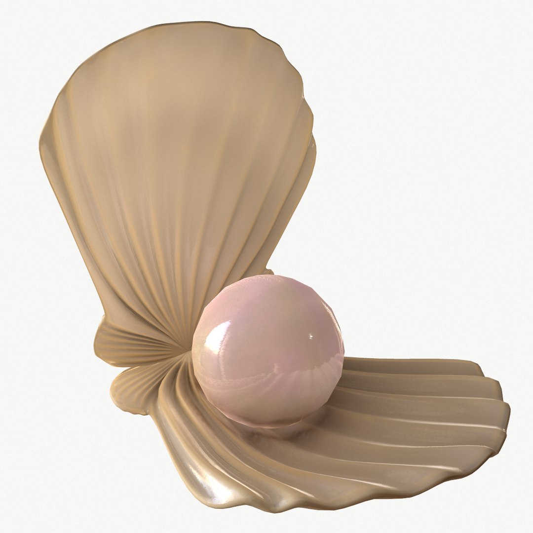 Pearl Shell 3D - TurboSquid 1413852