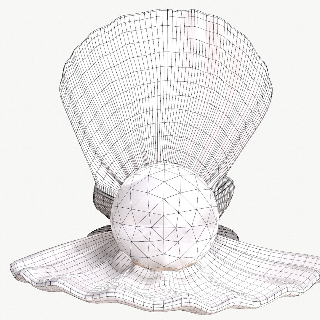 Pearl Shell 3D - TurboSquid 1413852