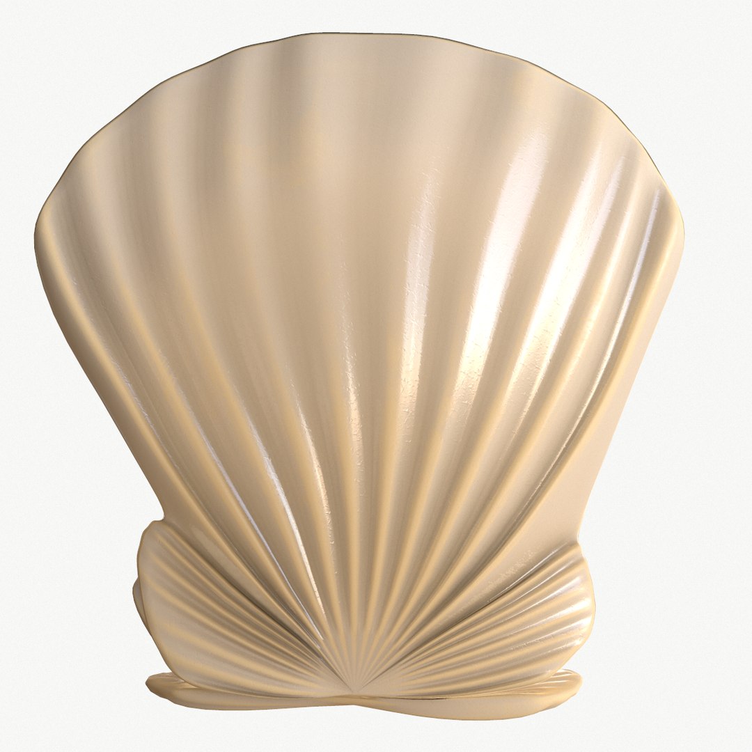 Pearl Shell 3D - TurboSquid 1413852