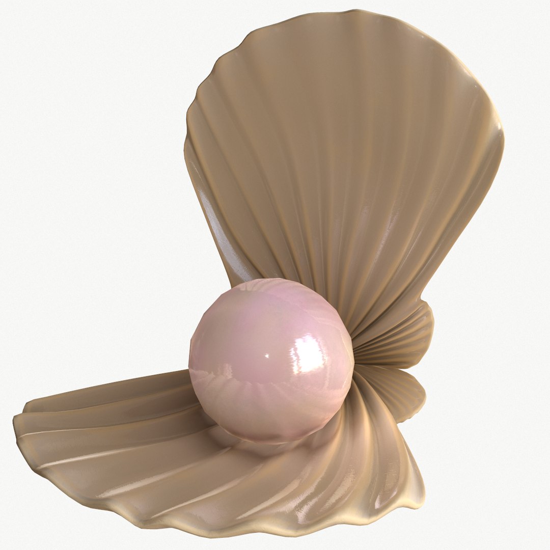 Pearl Shell 3D - TurboSquid 1413852
