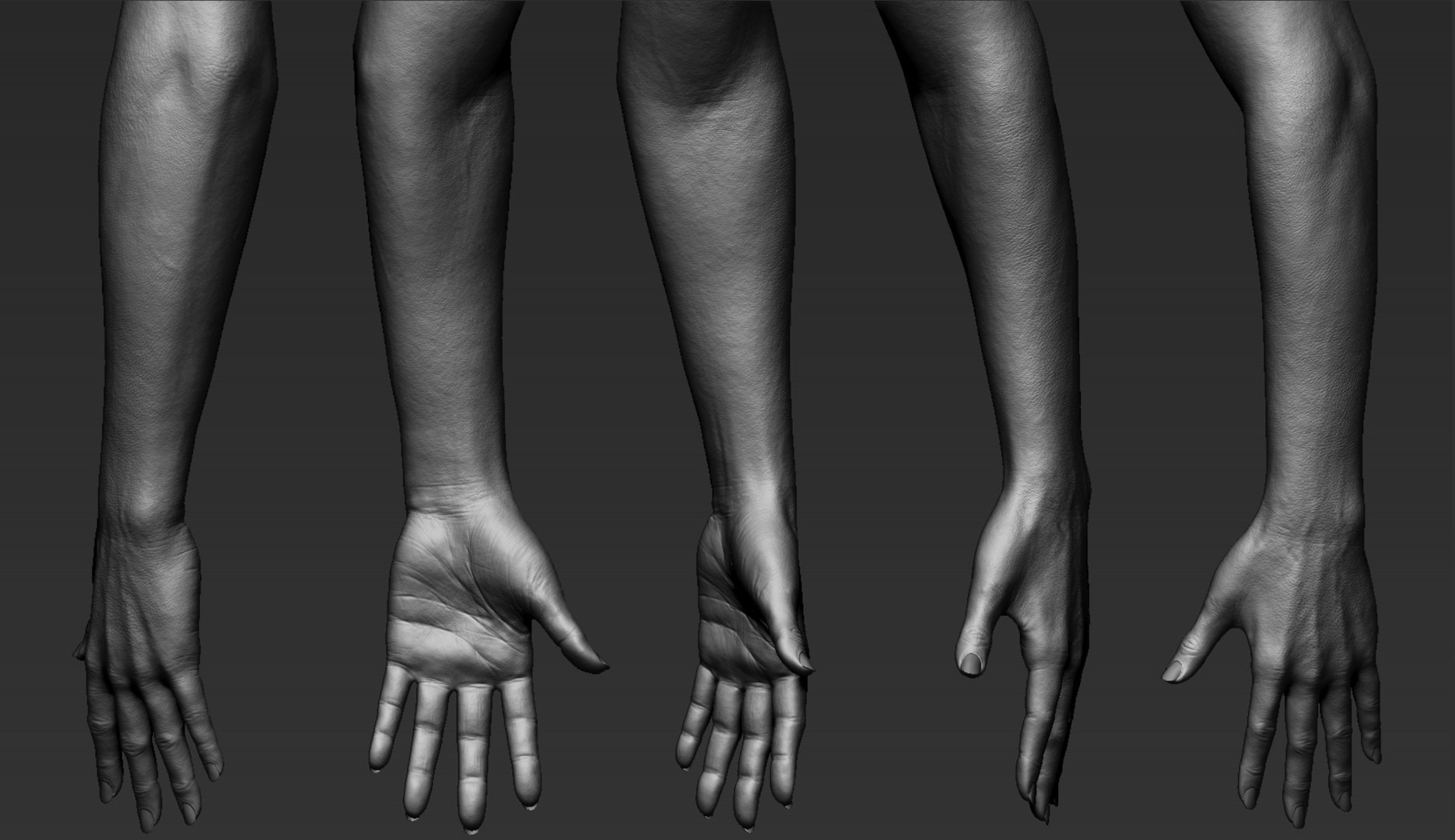 Female Hand 3D Model - TurboSquid 1460768