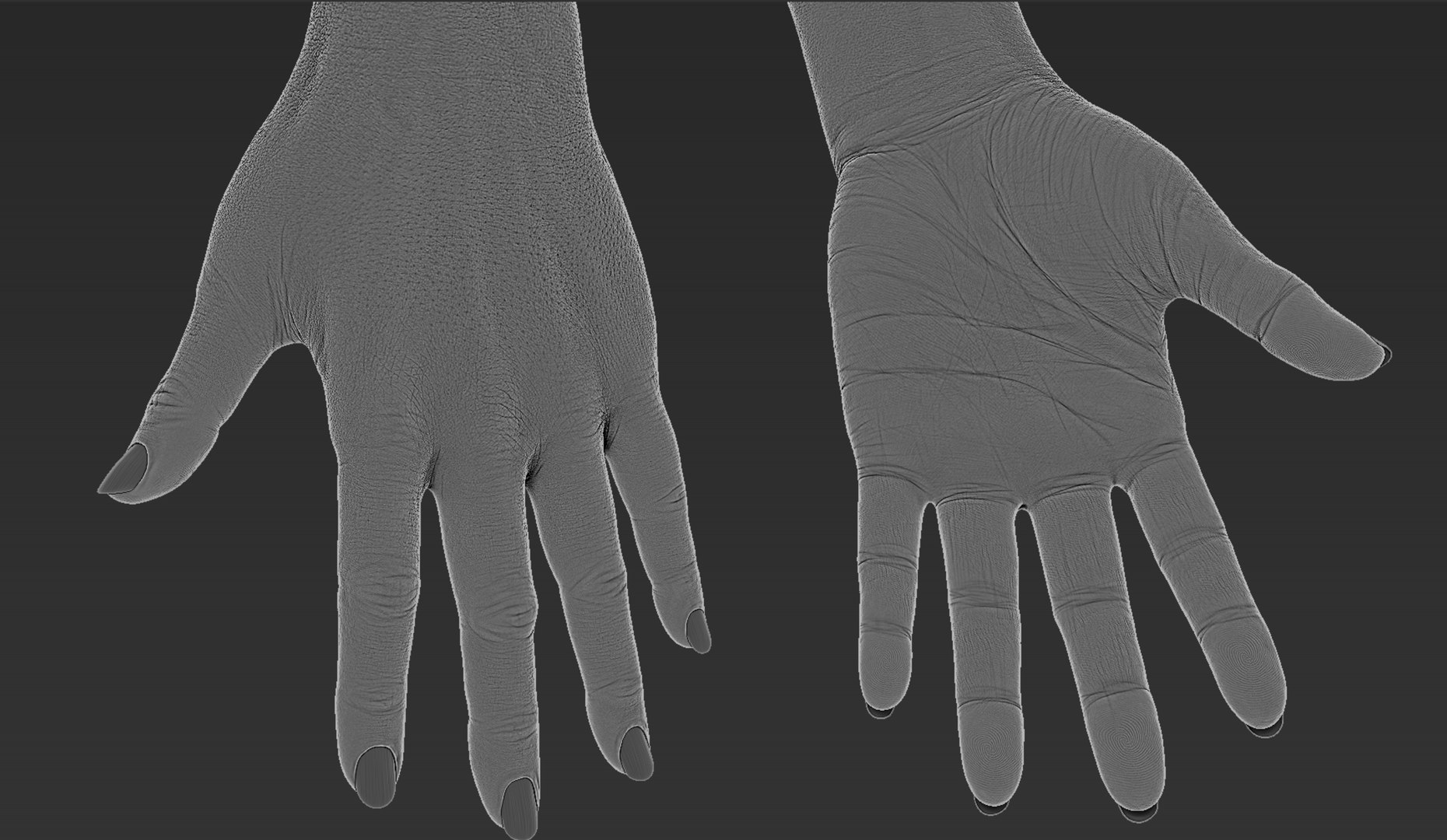Female Hand 3D Model - TurboSquid 1460768