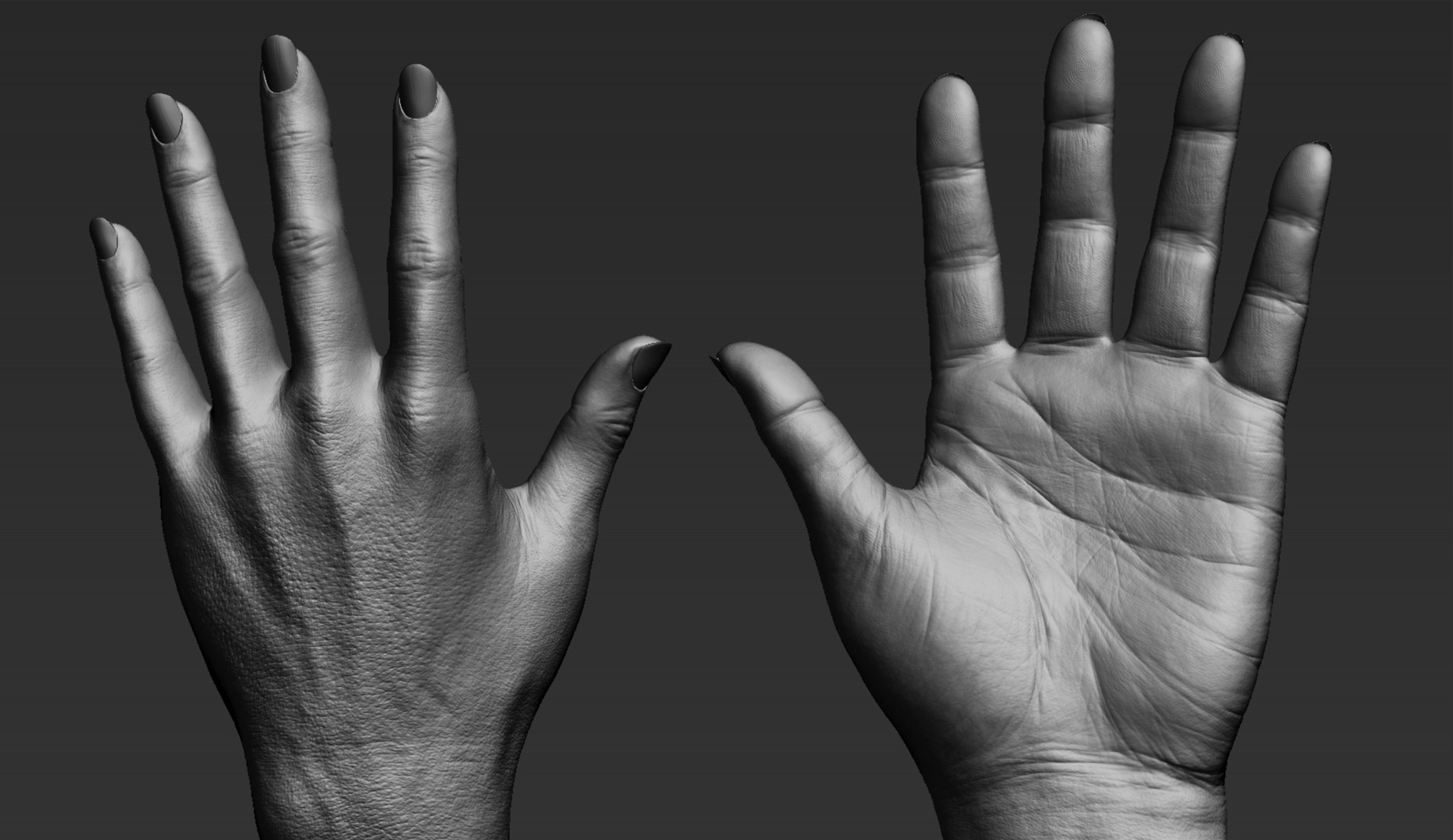 Female Hand 3D Model - TurboSquid 1460768