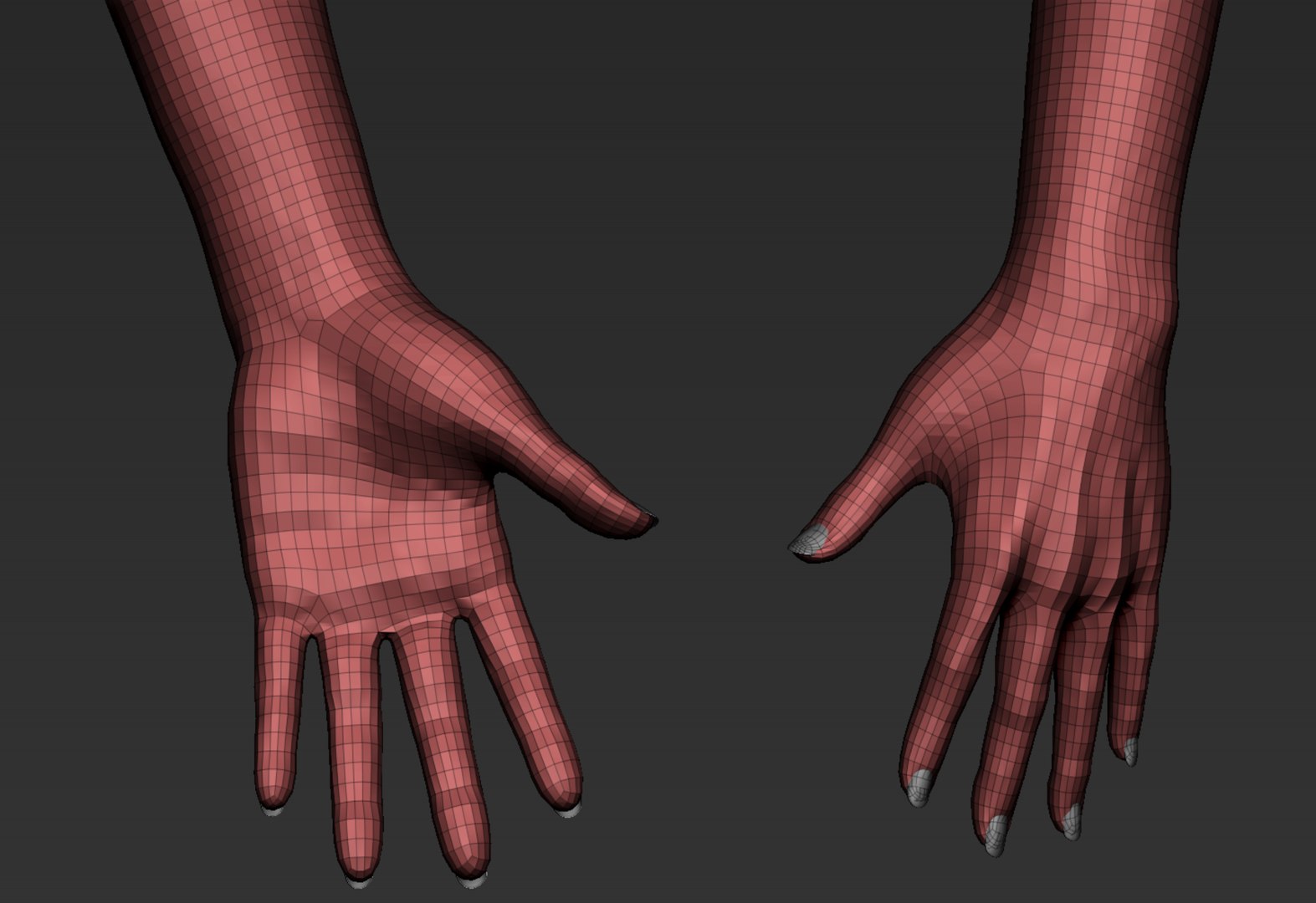 Female Hand 3D Model - TurboSquid 1460768