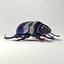 3d Scarab Beetle